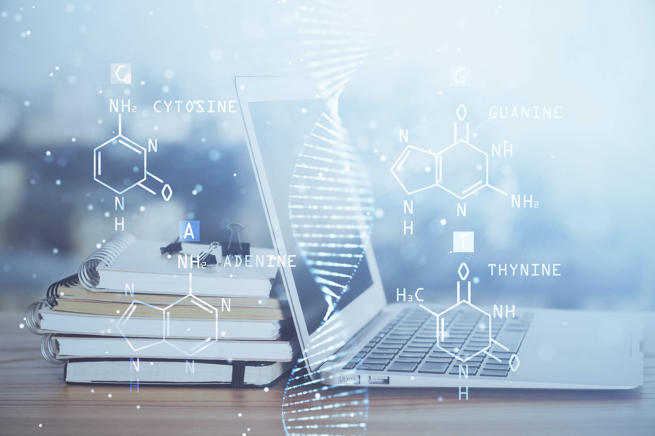 Predictive and Computational Toxicology: Understanding Your Compound