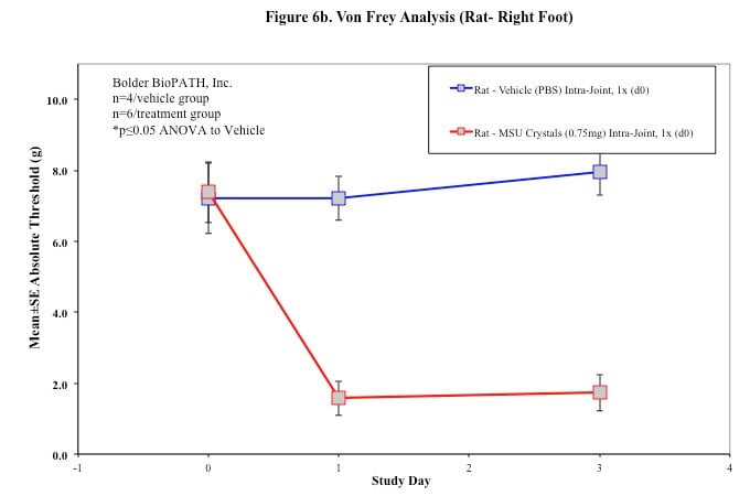 Monosodium Urate-Induced Gout (Rat, Mouse)