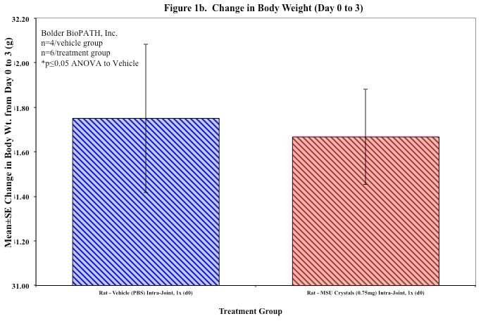 Monosodium Urate-Induced Gout (Rat, Mouse)