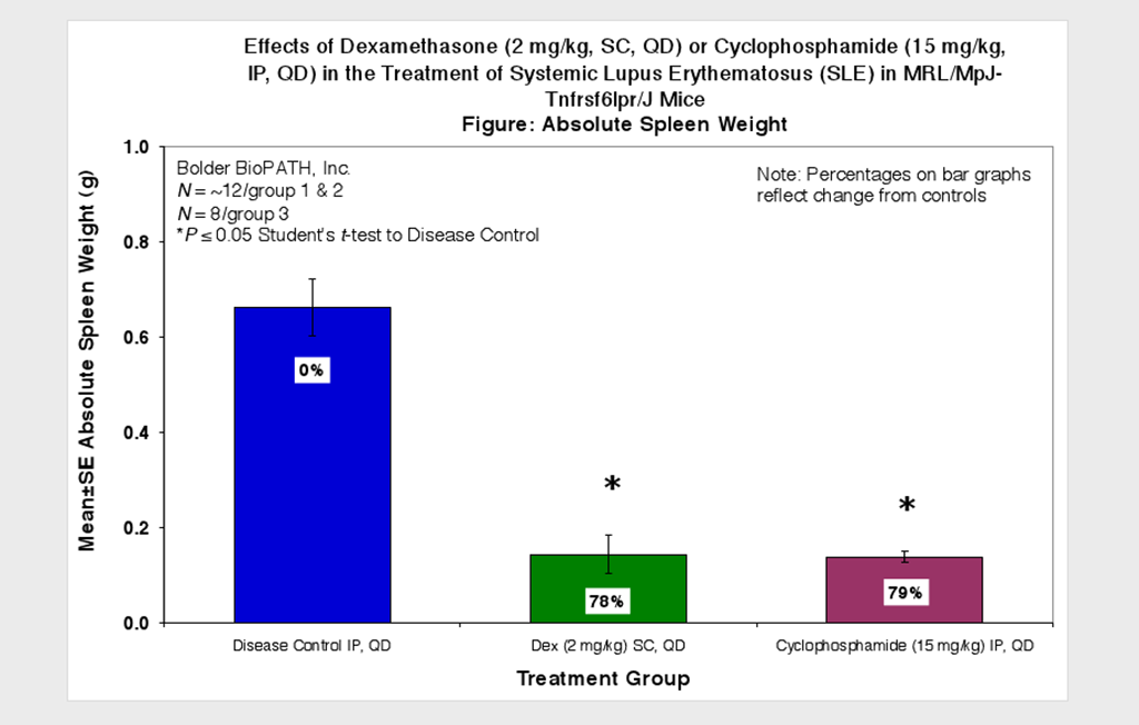 Systemic Lupus Erythematosus (SLE) in MRL/MpJ-Fas/J Mice