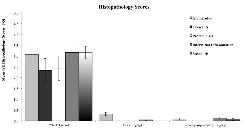 Systemic Lupus Erythematosus (SLE) in MRL/MpJ-Fas/J Mice