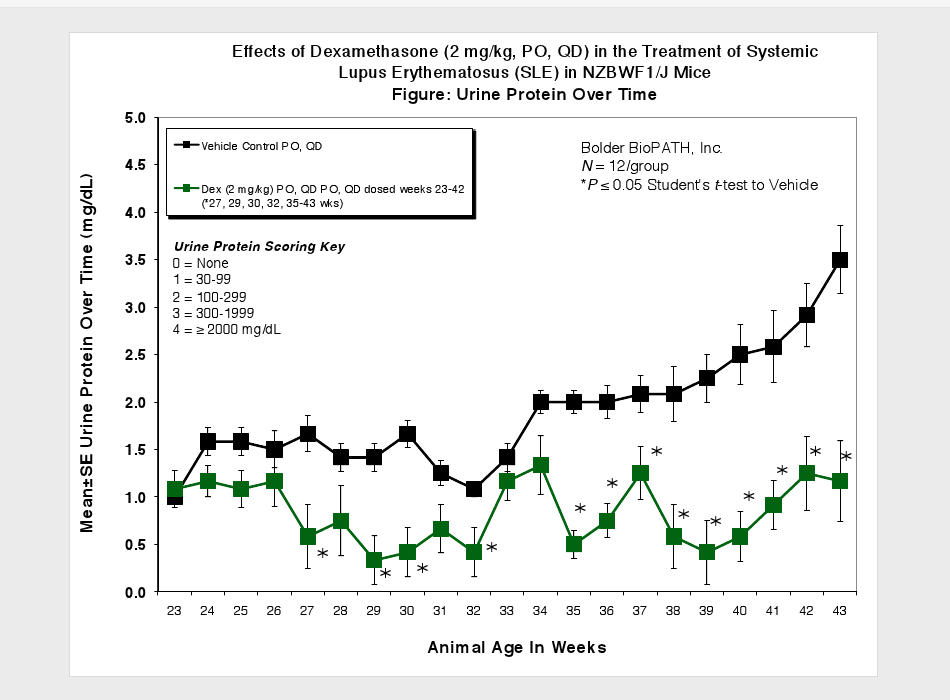 Systemic Lupus Erythematosus (SLE) in NZBWF1/J Mice