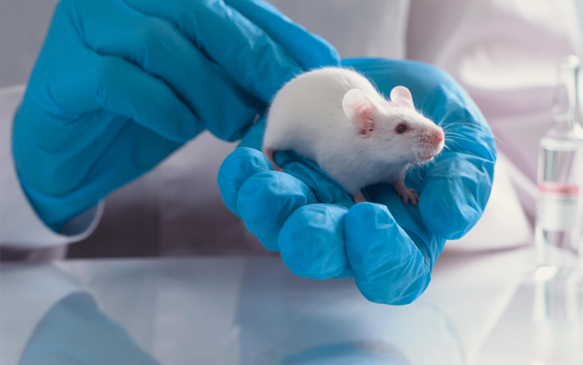 Discovery and Development CRO | Inotiv