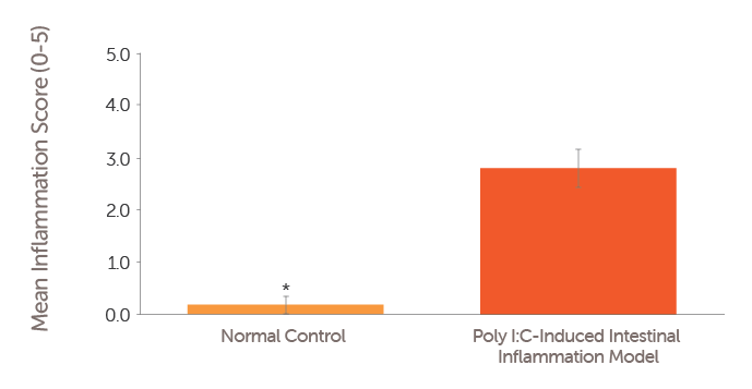 Small Intestinal Inflammation Models