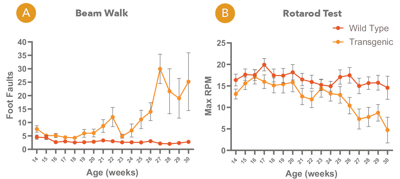 Amyotrophic lateral sclerosis