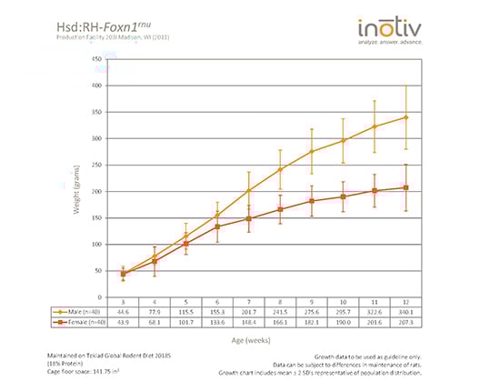 Athymic nude rats: Hsd:RH-Foxn1rnu mutant rats