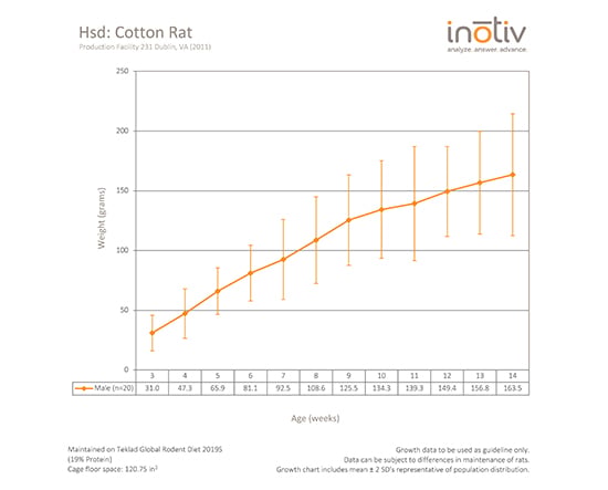 Cotton rats: Hsd:Cotton Rat