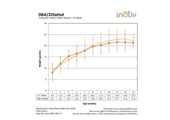 DBA/2 inbred mice: DBA/2OlaHsd