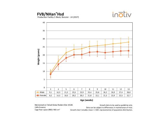 FVB inbred mice: FVB/NHan®Hsd