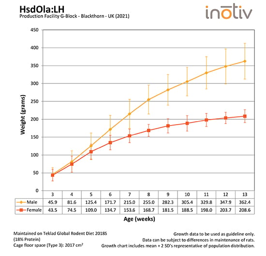 Lister Hooded outbred rats: HsdOla:LH