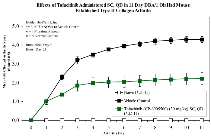 Collagen Induced Arthritis in Mice (Mouse CIA)