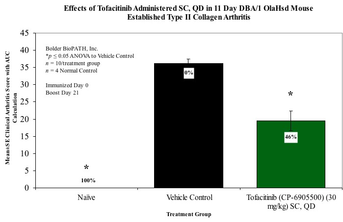 Collagen Induced Arthritis in Mice (Mouse CIA)