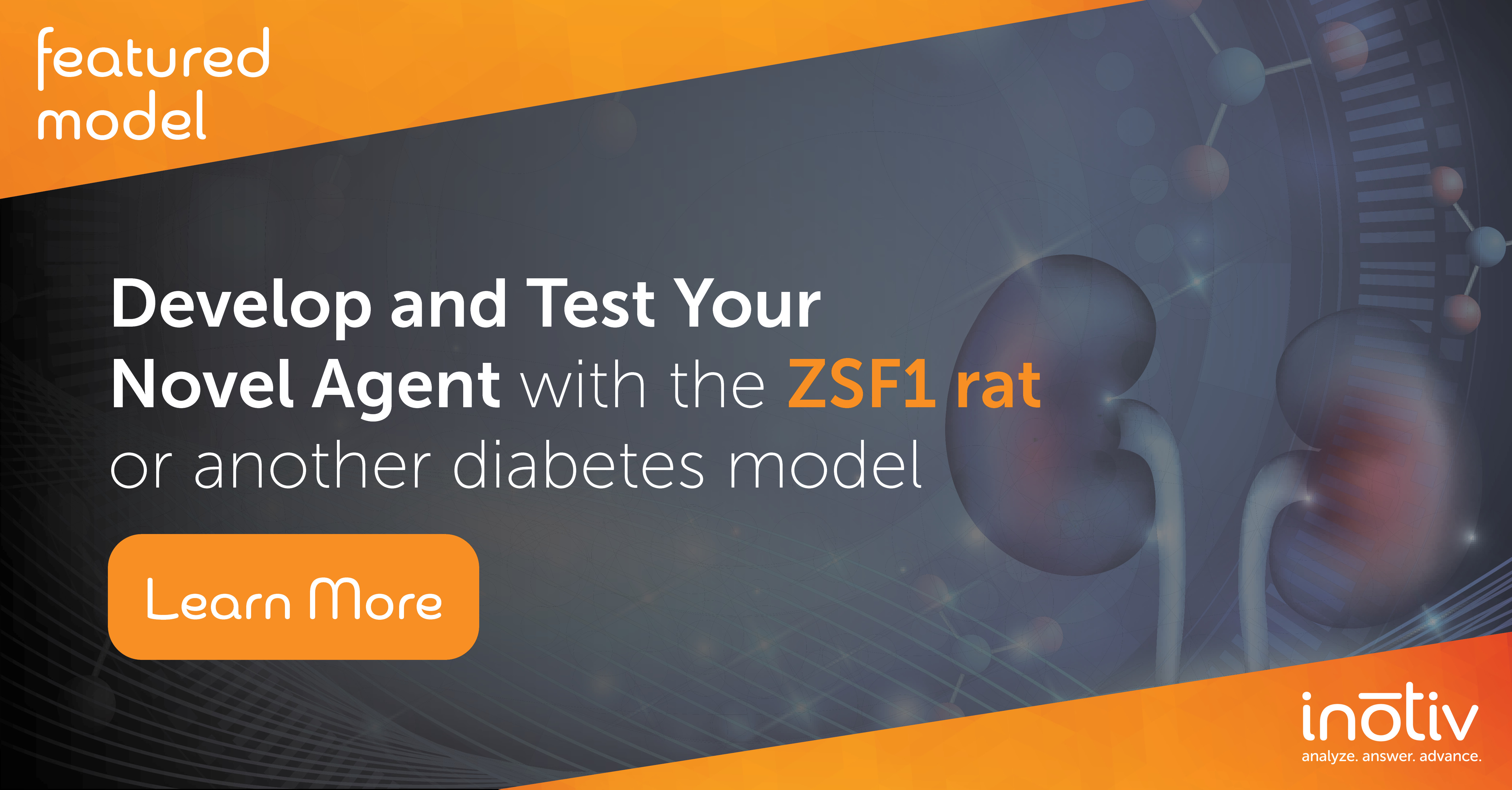 Metabolic Disease Models